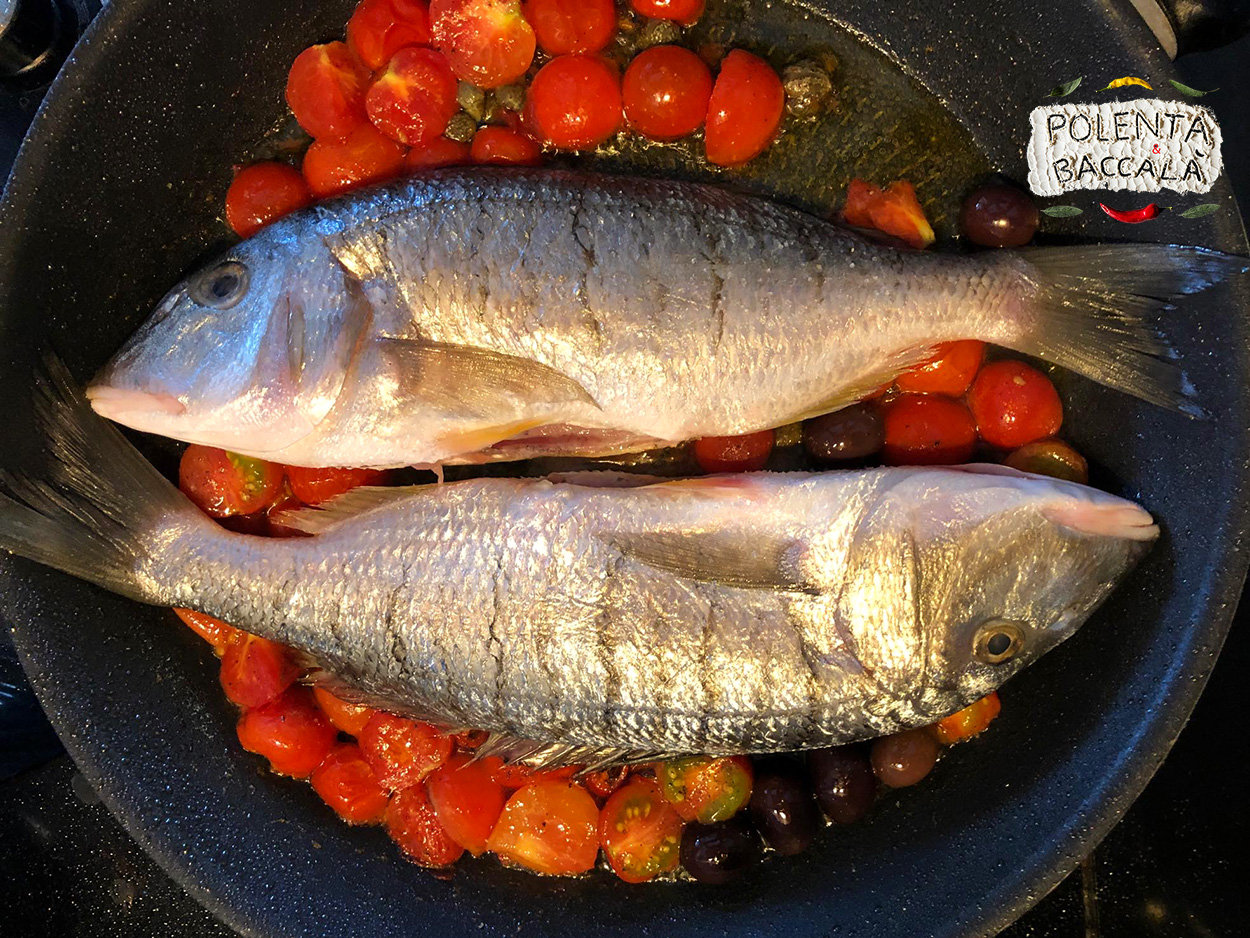 Mormore All’Acqua Pazza – Poached Sea Fish – Polenta & Baccalá